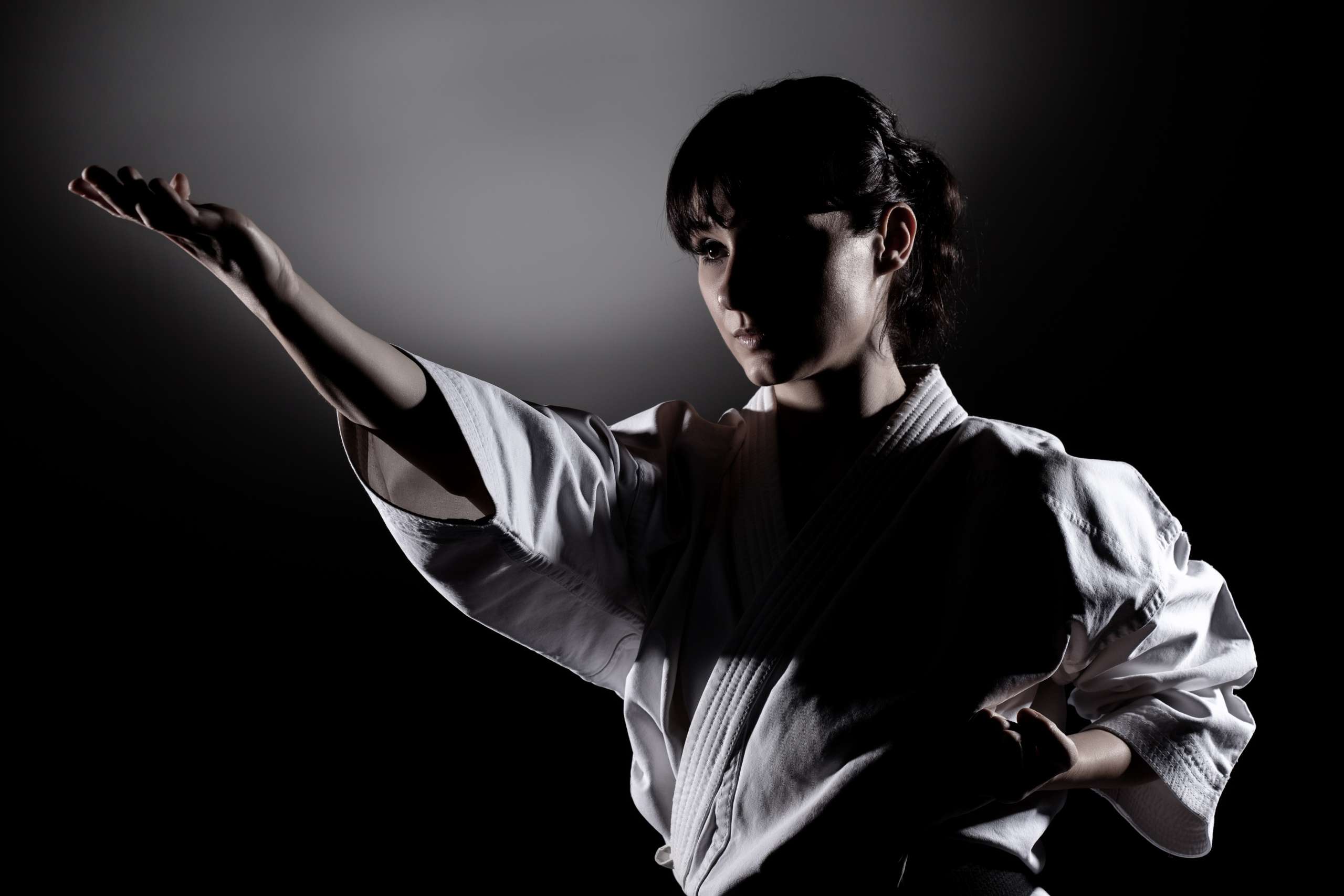 International Shotokan Karate